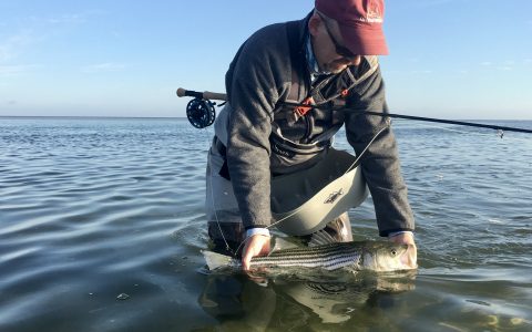 Cape Cod on the Fly – Boat & Shore Fly Fishing Guide Service