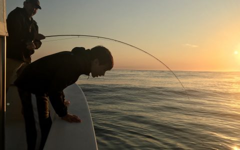 Cape Cod on the Fly – Boat & Shore Fly Fishing Guide Service